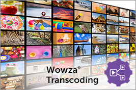 Transcoder Technical Overview Webinar